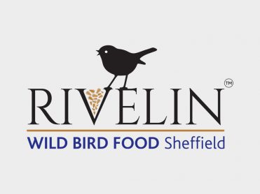 Logo design by Genie Creative - the brand and graphic design consultancy