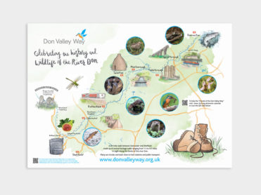 Infographics & illustration created by Genie Creative, Sheffield