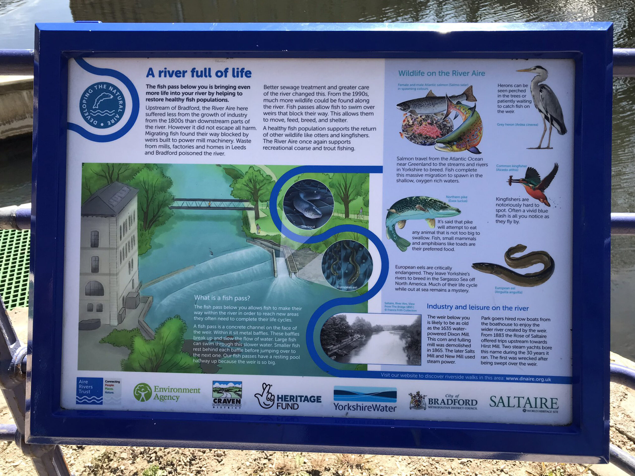 Design of interpretation panels for Aire Rivers Trust