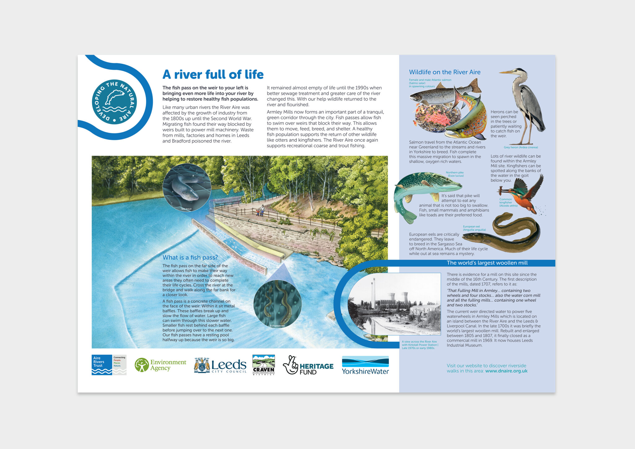 Design of interpretation panels for Aire Rivers Trust
